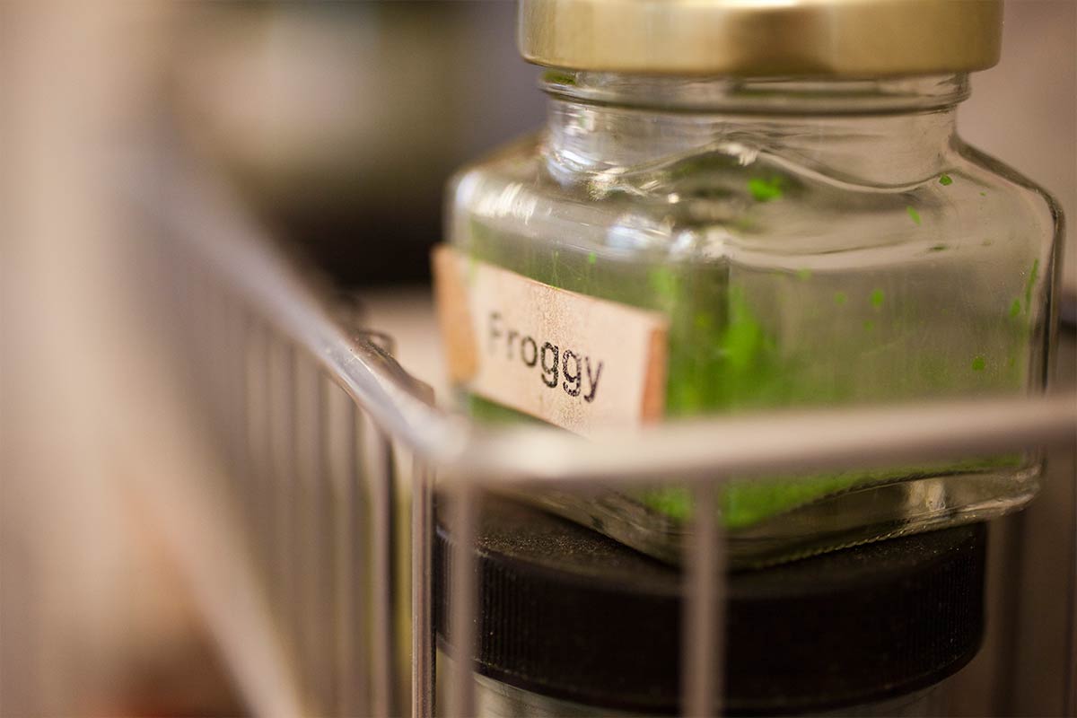 Ron Ben-Israel | Wedding Cakes, Celebration Cakes, Designer Cakes, New ...